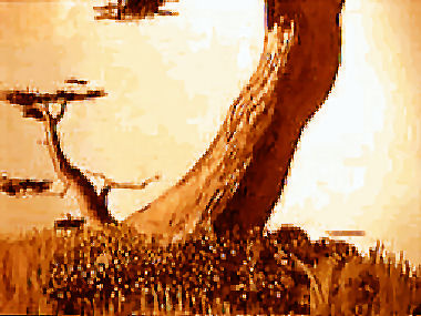 BIO -- BIOGRAPHY -- ERIC JONSSON -- artist -- painter -- jonssonsworld.com